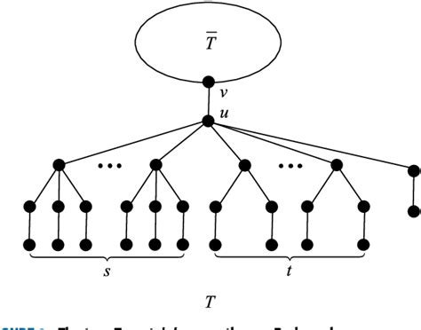 figure 2 from the minimal abc trees with b branches ii semantic scholar