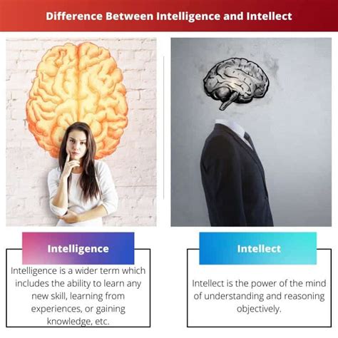 Intelligence Vs Intellect Difference And Comparison