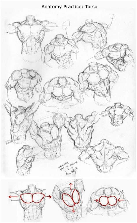 Pin By D Hawl On Jsusugdhsj Sketches Figure Drawing Reference