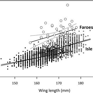 Linear Regressions 95 Confidence Intervals Of Body Mass As A