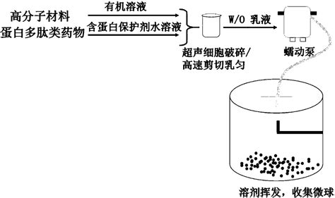 Protein Polypeptide Drug Long Acting Microspheres And Preparation Method Thereof Eureka Patsnap