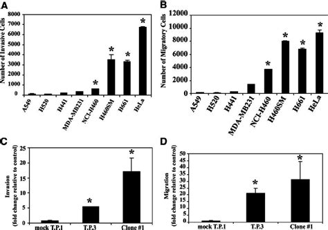 Correlation Of Coup Tfii Expression With Cancer Cell Invasion And