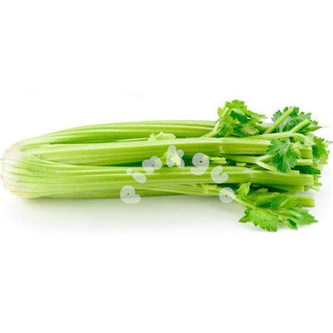 Celery ~1kg