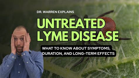 Untreated Lyme Disease Symptoms Duration And Long Term Effects