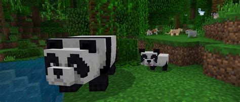Pandas And More Now In Minecraft Bedrock Minecraft