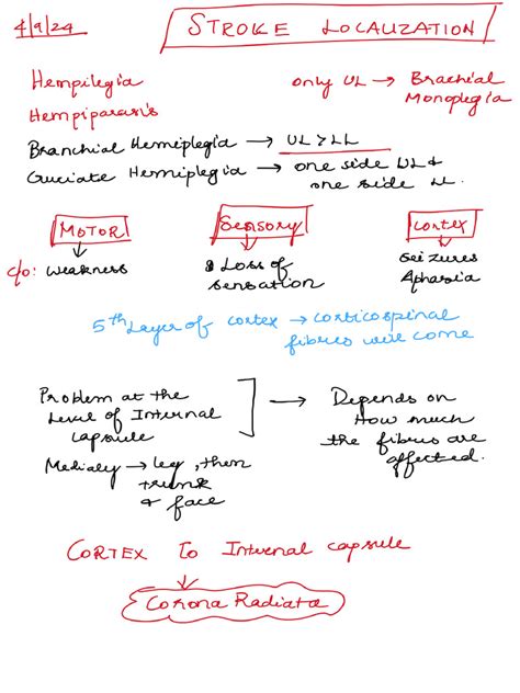 Stroke Localisation Pdf