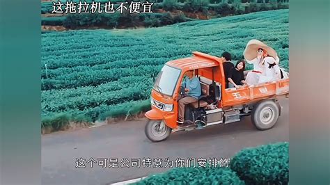 简直笑不活了两个人的小森林虞书欣张彬彬好剧推荐腾讯视频