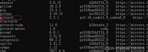 2024最新超详细无痛安装pytorch，包括下载地址、环境配置与各种避坑指南pytorch2022愿被世界温柔以待 北京朝阳ai社区