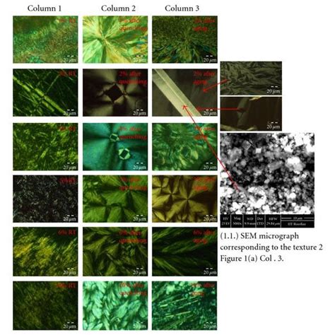 Illustration Of Lamellar Hexagonal Lamellar Transition In Nonaqueous Download Scientific
