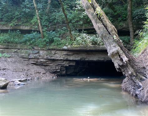 Mammoth Cave Canoe And Kayak Cave City All You Need To Know Before You Go