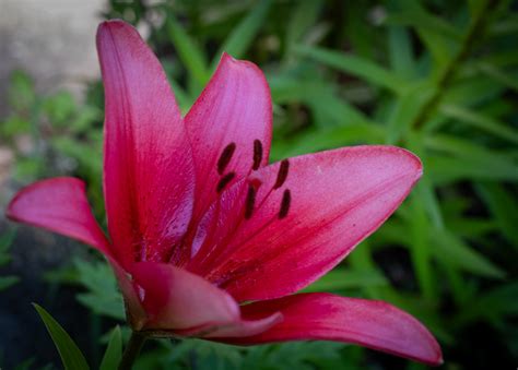 Breadth List Set 2 Flickr