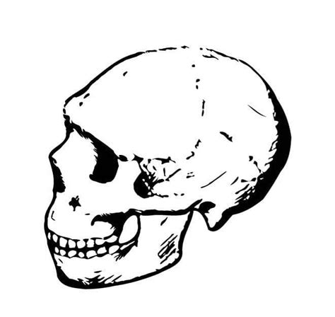 두개골의 실루엣 Eps Ai Uidownload