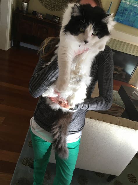 Look At That Hairy Pussy R GirlsWithHugePussies