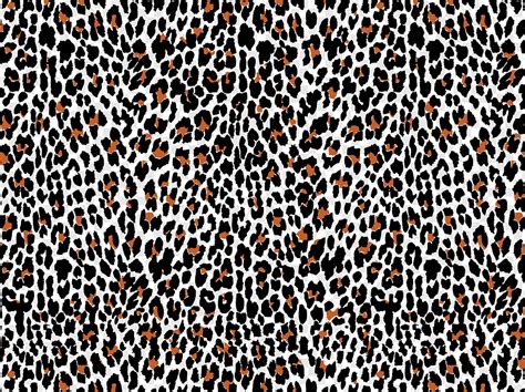 Leopard Print Background Png Pngwing