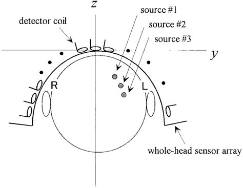 Schematic View Of The Sensor Source Configuration Used In The Computer