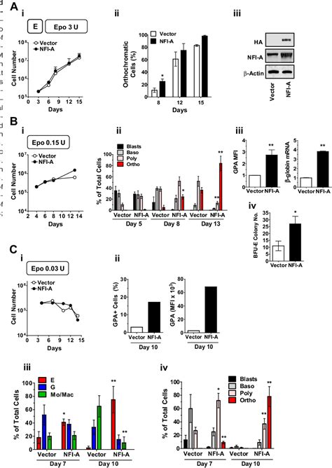 Figure From NFI A Directs The Fate Of Hematopoietic Progenitors To The Erythroid Or