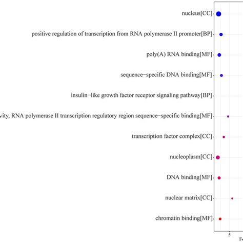 Gene Ontology Go Analysis Of Differential Genes Of The Giant Panda Download Scientific