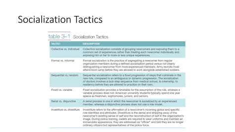 Organizational Culture Socialization And Mentoring Ppt