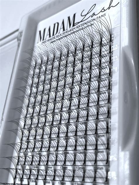 5d Volume C Curl 0 10 16 Rows Madam Lash Extensions