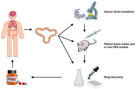 Of Current Applications Of Organoid Technology Patient Derived