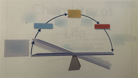 Feedback Loop Diagram Diagram Quizlet