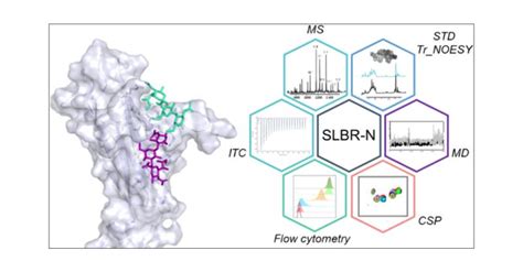 Abhishek Santra On Linkedin Molecular Insights Into O Linked