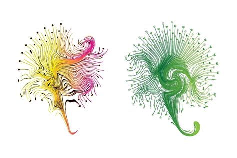 Page 7 Water Lily Drawing Vector Art Icons And Graphics For Free Download