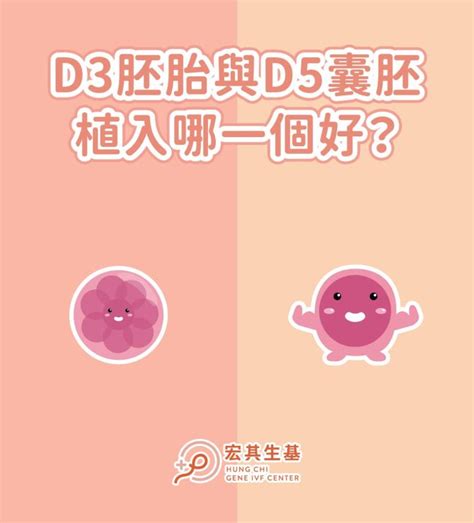 D3胚胎與d5囊胚，植入哪一個好？ 宏其生基西醫中醫生殖中心