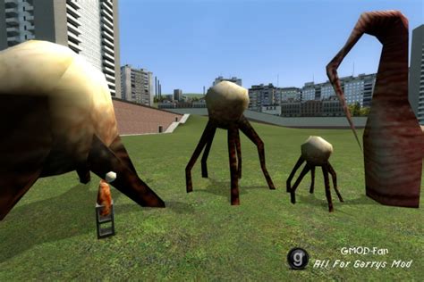 Half Lifesource Extended Npcs