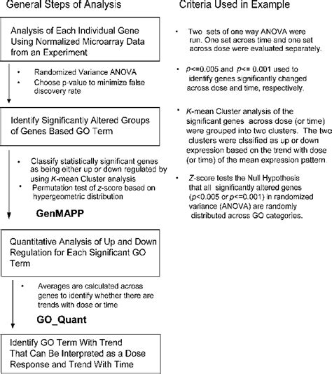 System Based Schematic Framework For The Interpretation Of Doseand Download Scientific Diagram