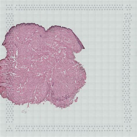 Deepspacedb Dsid001710