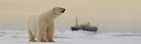The Polar Code Den Haan Rotterdam Netherlands