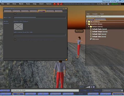 Opensim Opensim With The Default Library And Parcel Media Flickr