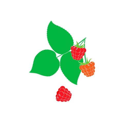 Raspberry Pi Logo Stock Photos Royalty Free Raspberry Pi Logo Images Depositphotos