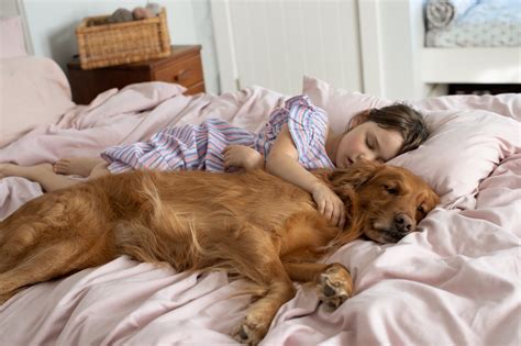 Stephanie Rausser Photography For Fromm