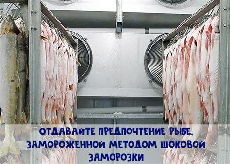 Правда ли, что замороженная рыба всегда некачественная - Все о еде и ее ...