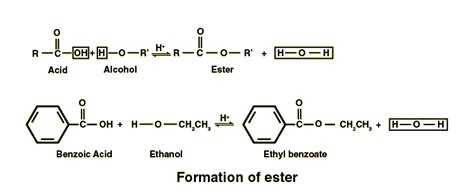 Ester Hydrolysis With NaOH Mechanism Synthesis FAQs