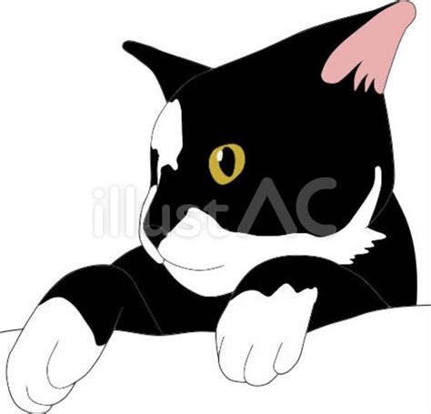 白黒ハチワレ猫の横顔イラスト No 1516595｜無料イラスト・フリー素材なら「イラストac」