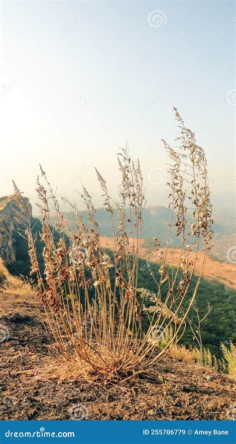 Vista Desde Lo Alto Del Fuerte De Lohagad En Pune Maharashtra India