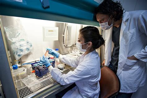 Hiv Cure Breakthroughs And Progress In The Fight Against Aids