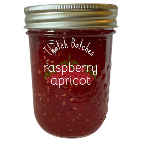Raspberry Apricot Jam An Unexpected Delight Thatchbatches