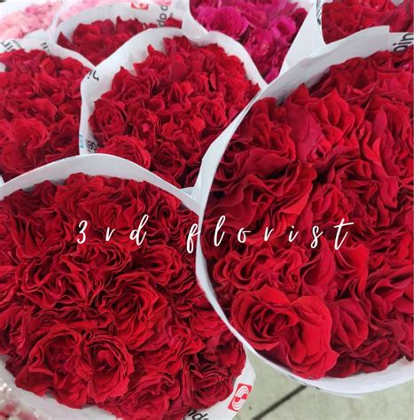 Jual Bunga Mawar Malang Merah Bata Shopee Indonesia