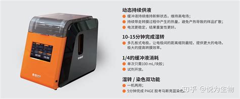Western Blot 全流程解决方案 知乎