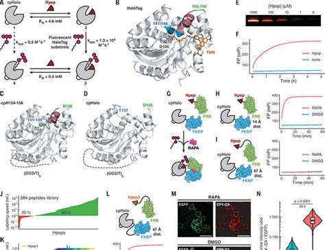 Recording Physiological History Of Cells With Chemical Labeling Joel Walker