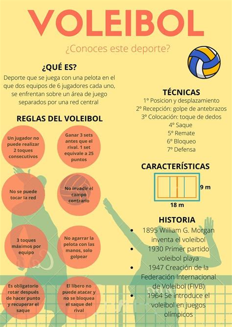 Voleibol Reglas Del Voleibol Voleibol Ejercicios De Voleibol🌸 Junte