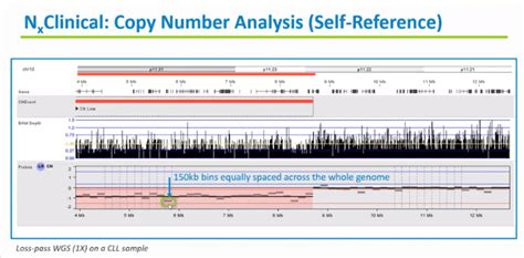 Detecting Cnv And Aoh Events From Ngs Data Using The Msr And Self Reference Algorithms
