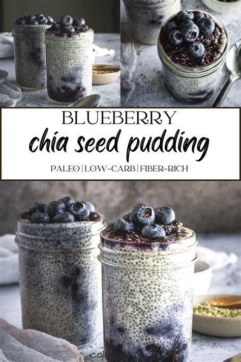 Easy Fiber Rich Blueberry Chia Seed Pudding Calm Eats