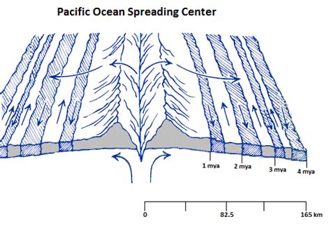 Solved Calculate Sea Floor Spreading Rates For The Below Must Be Course Hero