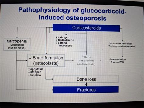 Glucocorticoid Induced Osteoporosis Osteoporosis Bone Loss Testosterone
