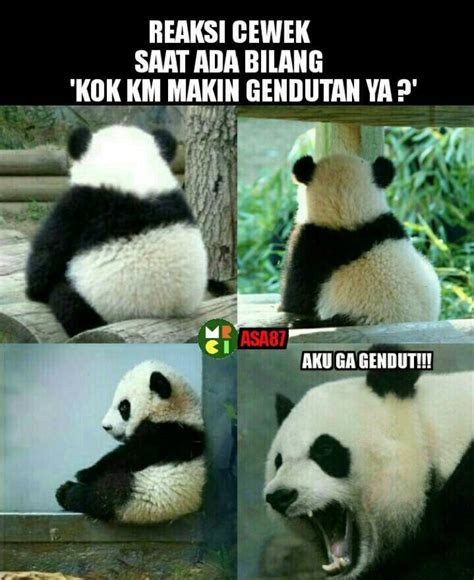 Meme Akibat Lo Bilang Ke Cewek Kalau Dia Makin Gendut Ngakak